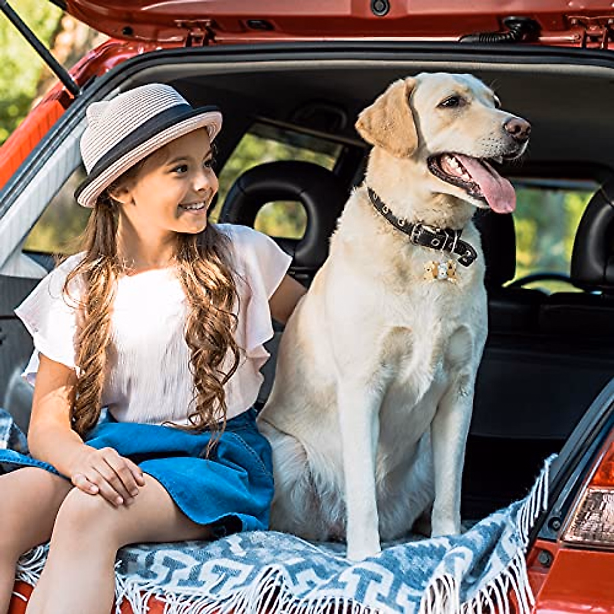 24 Pieces Blank Acrylic Dog Tag Bone-Shaped Acrylic Dog ID Tags with 24 Pieces Key Chain Rings for DIY Dogs and Cats Pet Name Number Tags Crafts Decorations, 1.49 x 1 Inch