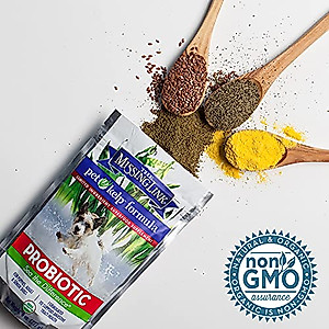 The Missing Link Pet Kelp Canine Probiotic 8oz Superfood Powdered Supplement, Organic & Limited Ingredient Formula for Digestive Health of Dogs