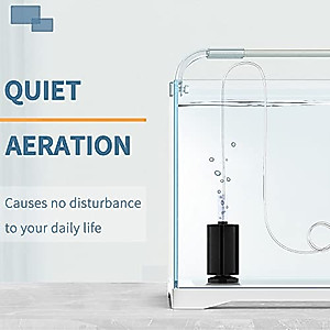 Pawfly Aquarium Bio Sponge Filter Quiet Betta Fry Shrimp and Small Fish Foam Filter for Fish Tanks up to 20 Gallons