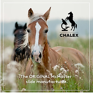 The Original Two-Chamber Opaque McMaster Counting Vet Slide by Chalex, Fecal Sample Worm Egg EPG Count for Parasites in Horses Sheep Cattle and Goats, for Veterinarian and Farm