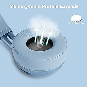 REETEC Wireless Bluetooth Headphones Over-Ear - [40 Hrs Playing Time, Soft Protein Earpads] Foldable HiFi Stereo Wireless Headphones with Microphone, Deep Bass Headset for Phone, PC, iPad - Blue