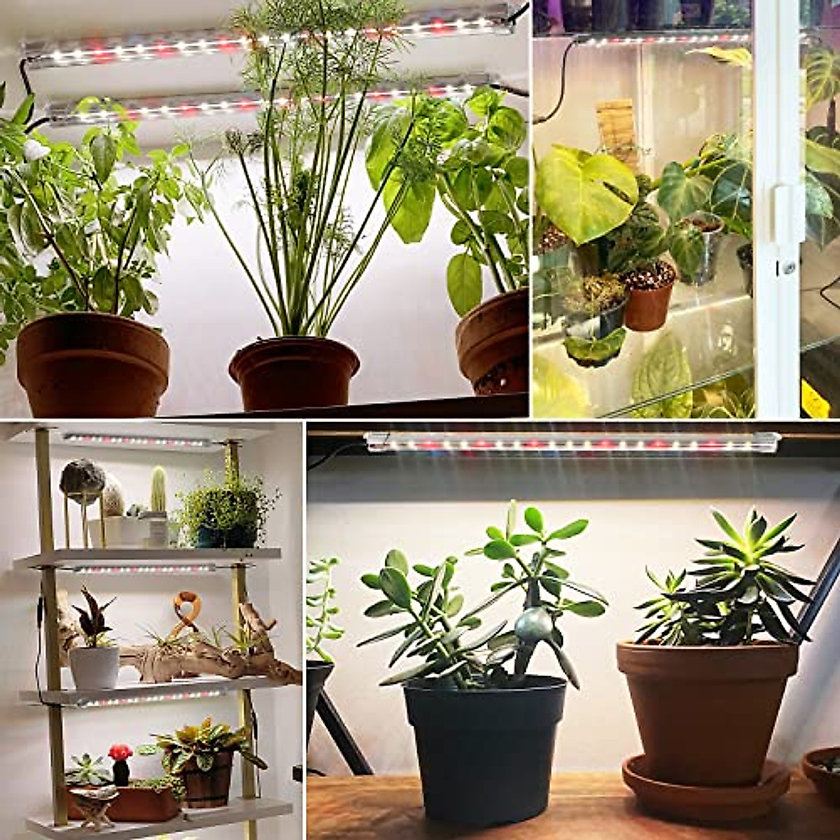 YASBED LED Grow Light for Indoor Plants, 5500k & Red LED Full Spectrum Plant Grow Light Strips with Timer 3/6/12Hours/Dual Channel/4 Dimmable Level for Gardening Seedling Hydroponics, 6 Pack