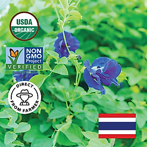 INCAS 100% USDA Organic Butterfly Pea Flower 4.41 oz (375+ Cups) DIRECT FROM SOURCE Thailand Non GMO Verified Dried Caffeine Free Gluten Free Vegan Rich in Antioxidants Free eBook