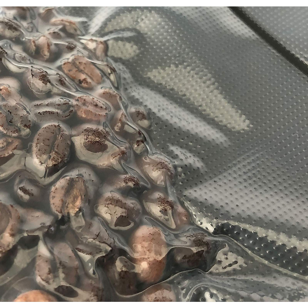 2 Large Commercial Bargains 11" x 50' Black and Clear Commercial Vacuum Sealer Food Storage Rolls