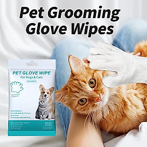 12PCS - Dog and Cat Cleaning Gloves, Cleaning Gloves for Dog and Cat Fur Face, Ear, Eye, Paws Cleaning Wipes，Pet Wash Free Gloves, Grooming Wipes for Pet No Rinse Thick Dog Wipes Gloves