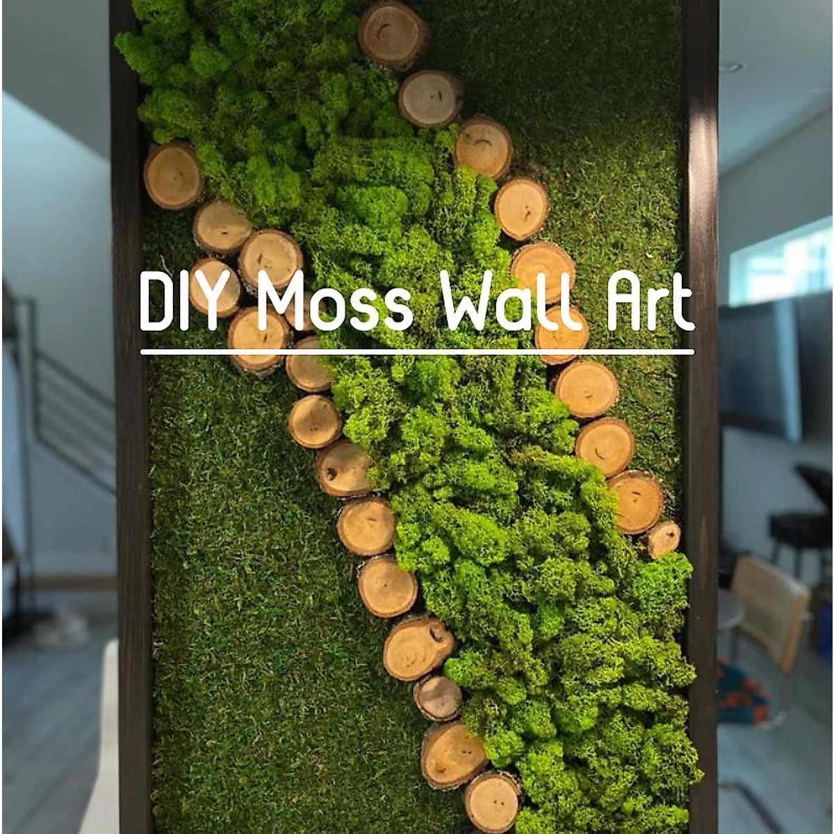 Prefleur Preserved Reindeer Craft Moss Natural Green DIY Kit Gardenning Art Wall Florist Easter Table Wedding(0.85lb)(Green-05)