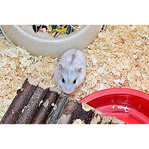 QHZHANG Hamster Chew Toys，24PCS Combined Chew Toys Molar Sticks Sweet Bamboo Apple Branch Molar Toy for Rabbits Pets Chinchilla Squirrel Gerbil Hamster Squirrel Guinea