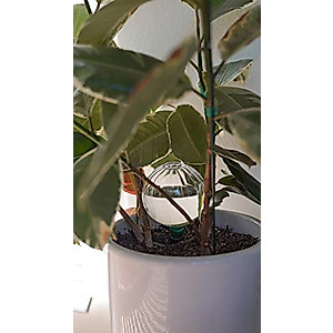 Blumat Glass Plant Self Watering Globes | Automatic Houseplant Drip Irrigation for Indoor Plants, Hanging Plants, Houseplants, Plant Garden Accessories | Vacation Plant Savers - Large Globe Small Adapter