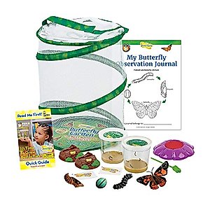 Butterfly Garden: Original Habitat and Two Live Cups of Caterpillars with STEM Butterfly Journal – Life Science & STEM Education – Butterfly Science Kit - Plus Butterfly Life Cycle Stages Figurines