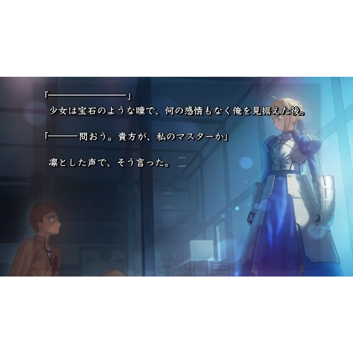 Fate / Stay Night [Realta Nua] Playstation Vita the Best Limited Benefits "Another Special Jacket" With