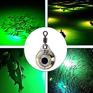 GTHFINE Led Fishing Lures Kit, Underwater Fishing Light, Small Fish Eye Hairtail Mini Lure Fish Light Set Fish Light, Fishing Spoons Underwater Flasher Diamond Lights Trolling Lures Halibut Rig-5pcs