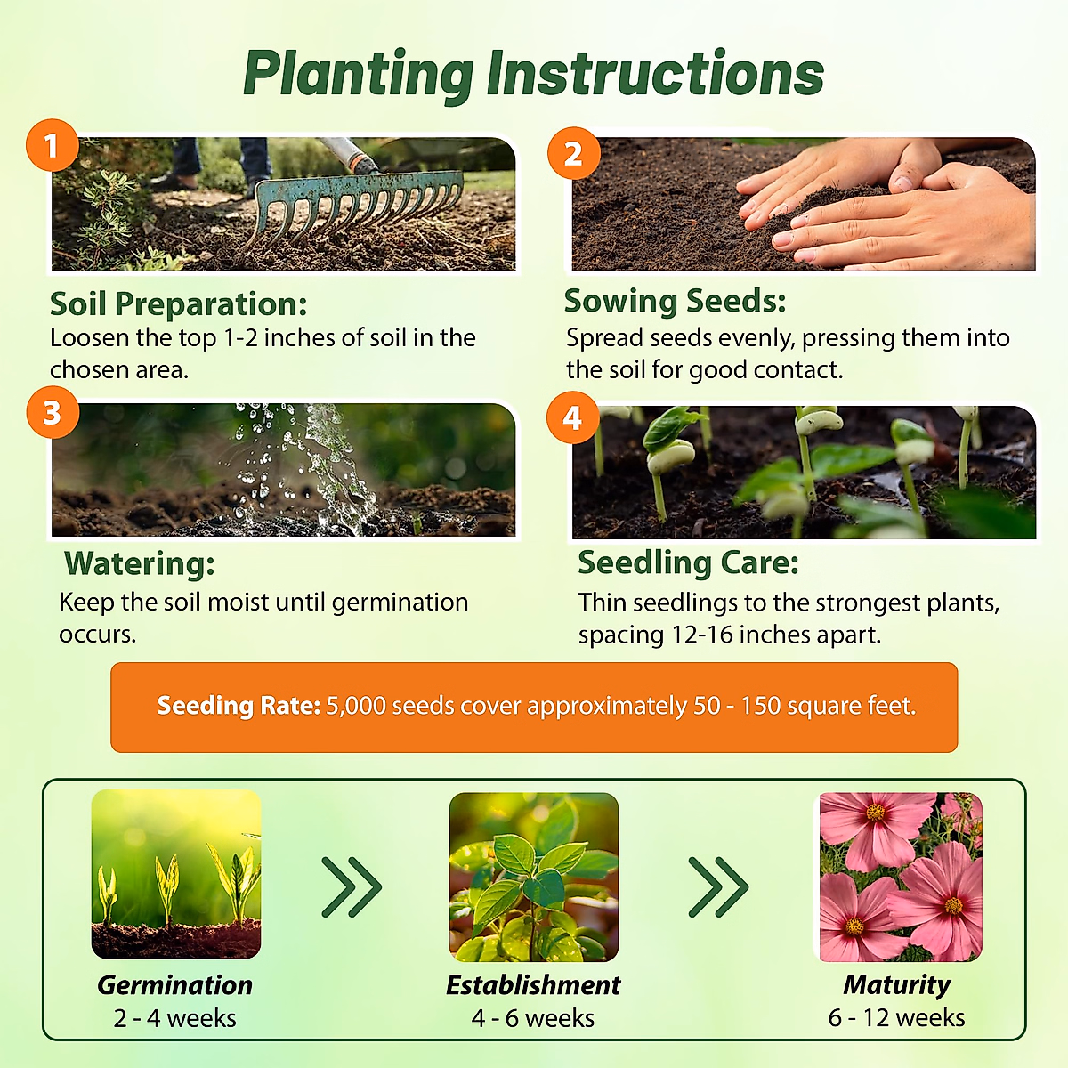 Outsidepride 10000 Seeds Annual Pink Wild Flower Seed Mix for Planting