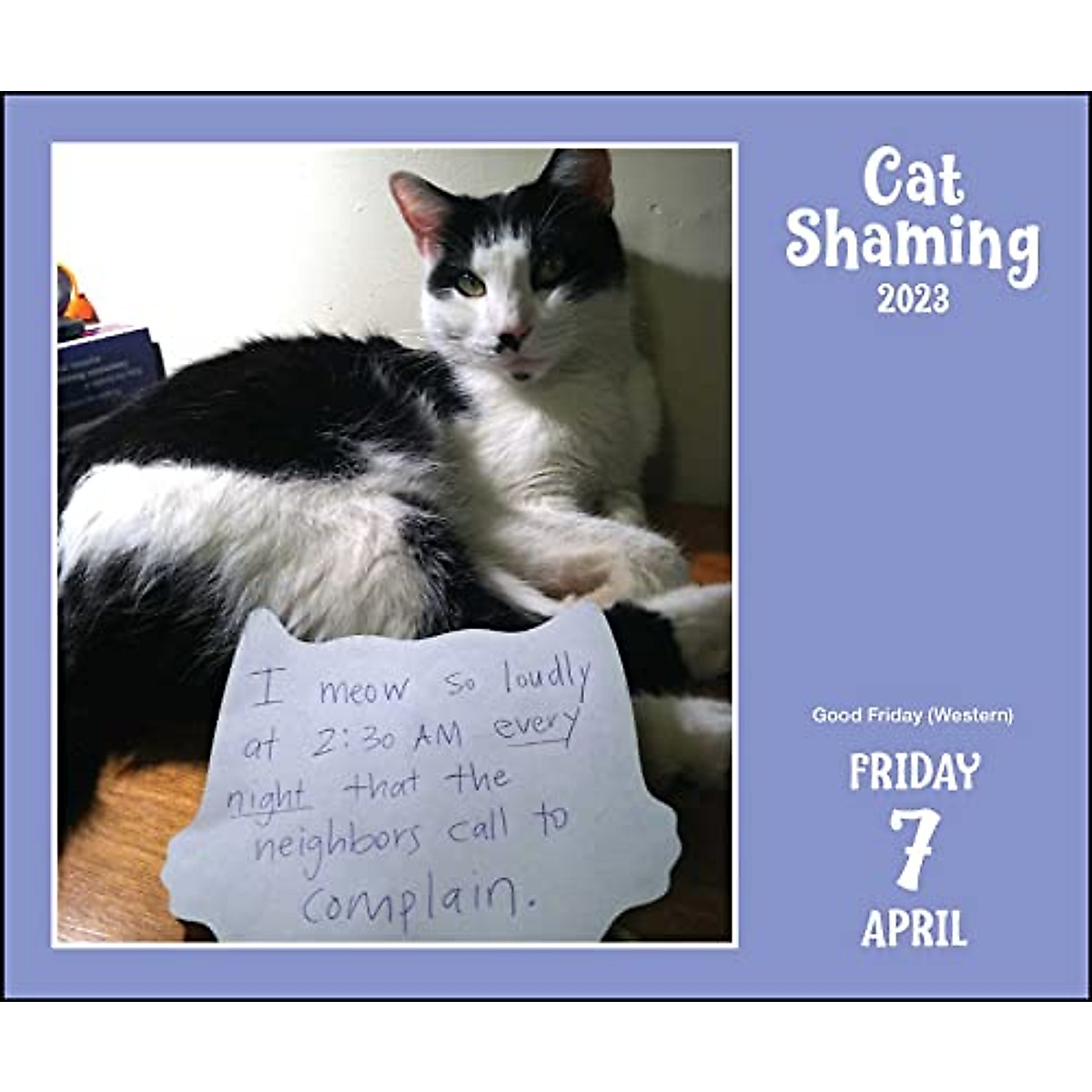 Cat Shaming 2023 Day-to-Day Calendar