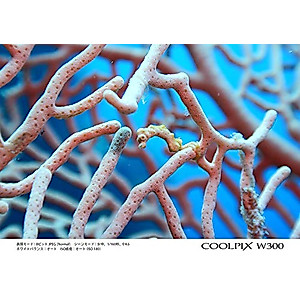 Nikon Digital Camera COOLPIX W300 COOLPIX Camouflage Waterproof Camera