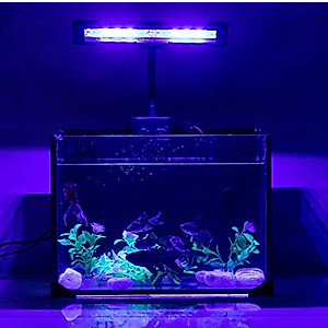hygger 9.7 Inches Blue White LED Aquarium Light Clip on Small Led Light for Planted Saltwater Freshwater Fish Tank with Gooseneck Clamp 13W