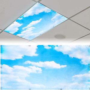 Patelai 4 x 2 Feet Fluorescent Light Cover for Ceiling Classroom Magnetic Cubicle Shade with 10 Magnets Fluorescent Light Filters for School Home Office Drop Lamp Decor(Cloud)