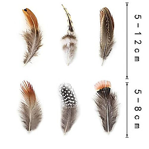 180pcs 9 Styled Natural Feathers Assorted Mixed Feathers for Jewelry and Dream Catcher Crafts