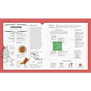 The Science of Spice: Understand Flavor Connections and Revolutionize Your Cooking