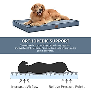 Tail Stories Orthopedic Dog Bed for Large Dogs - Pet Bed with Removable Washable Cover, Large Waterproof Dog Crate Bed for Large Sized Dog with Egg Crate Foam, Blue