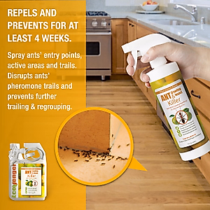 EcoVenger Ant Killer & Crawling Insect Killer (Citrus Scent) 16 OZ, Kills Fast in Minutes, Also Kills Spiders, Centipedes & More, Repels with Residual, Natural & Non-Toxic, Children & Pets Safe…