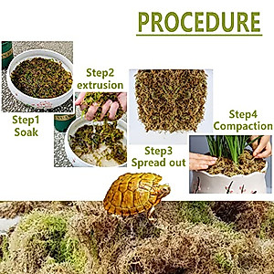 Premium 3 QT Sphagnum Moss for Plants in Pots - Ideal for Orchids, Succulents, Garden Flowers, and Reptiles - Helps Maintain Optimal Humidity Levels