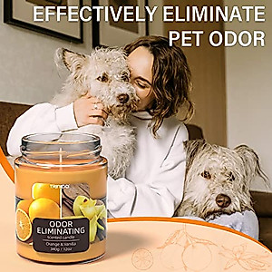 Orange & Vanilla Odor Eliminating Candles for Home Scented, Eliminates 99% of Pet, Smoke, Food and Other Smells Quickly, Highly Fragranced Candle, Premium Soy Candles Gift Set for Women
