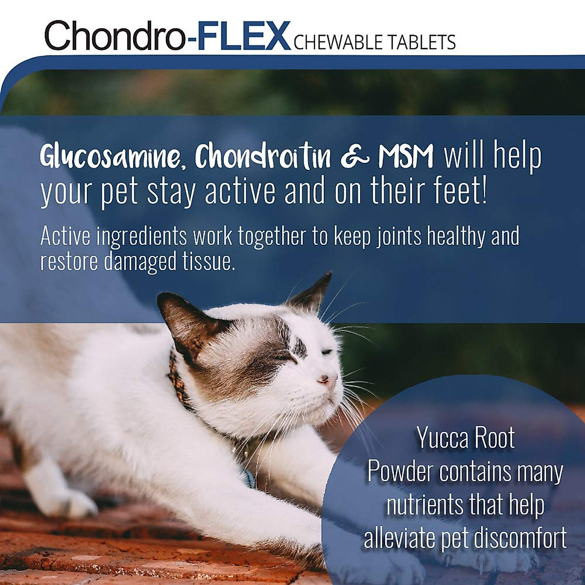 HealthyPets Chondro-Flex - Powerful Joint Care Formula Dogs and Cats - Maximum Nutritional Support - Glucosamine, Chondroitin, MSM, Ester-C, and Minerals - 180 Chewable Tablets