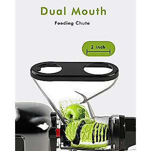 Slow Juicer Machines, SiFENE Cold Press Juicer, Dual Feed Chute Masticating Juicer, Juice Maker Extractor, Easy to Clean, Quiet Motor & Reverse Function, Brush& Recipes Included