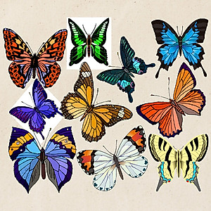 CafePress Butterflies Tote Bag Canvas Tote Shopping Bag