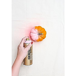 Montana Cans Montana GOLD 400 ml Color, Lychee Spray Paint,13.53 Fl Oz (Pack of 1),MXG-G3000