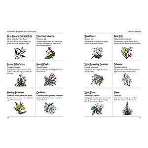 The Green Witch's Garden: Your Complete Guide to Creating and Cultivating a Magical Garden Space (Green Witch Witchcraft Series)