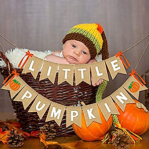 Jute Burlap Little Pumpkin Banner Little Pumpkin Baby Shower Decorations, Pumpkin Banner for Fall Pumpkin Themed Baby Shower Party Decorations