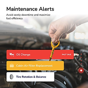 Kayo Business Fleet, GPS Tracker for Vehicles, 4G LTE & 5G, Real-Time GPS Tracking, 14-Day Free Trial, Simple Activation, Simple Plug-in Car GPS Tracker