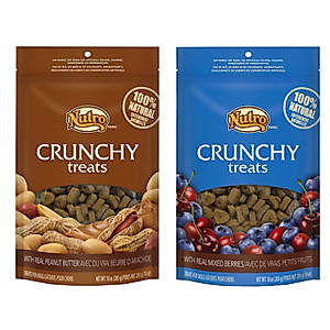 Nutro Crunchy Dog Treats 2 Flavor Variety Bundle: (1) Nutro Crunchy Dog Treats with Real Peanut Butter and (1) Nutro Crunchy Dog Treats with Real Mixed Berries, 10 Ounces Each (2 Bags Total)