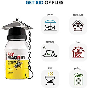 SEWANTA Victor M380 [Set of 2] Reusable Outdoor Fly Traps 32 oz - Fly Magnet Bait Trap - Made in USA - Bundled with 2 Bait Cebo and 2 Hanging Chains