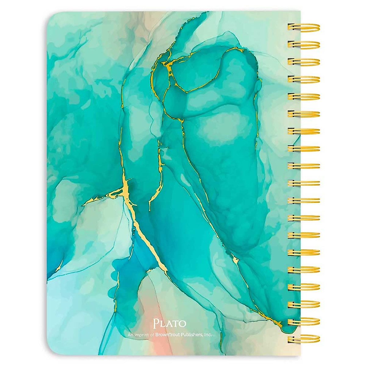 Crackled Blush | 2024 6 x 7.75 Inch 18 Months Weekly Desk Planner | Foil Stamped Cover | July 2023 - December 2024 | Plato | Planning Stationery