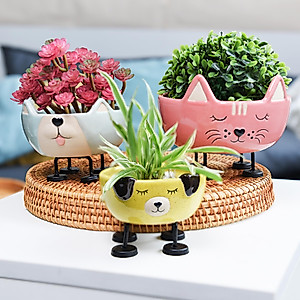 Pointnio Cute Plant Pots,Ceramic Garden Pots,Plant Gifts for Woman,Planters for Indoor Plants.Small Pots for Plant.Spring Flower Pots.Spider,Succulent Pots 6"+4.8"+4" Set of 3