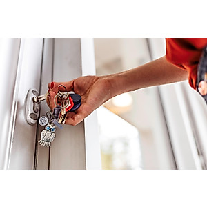 AuPra Silver KeyChain Gift Women & Men Leather KeyRing Home Car Door Keys Holder Girl & Boy Bird Present