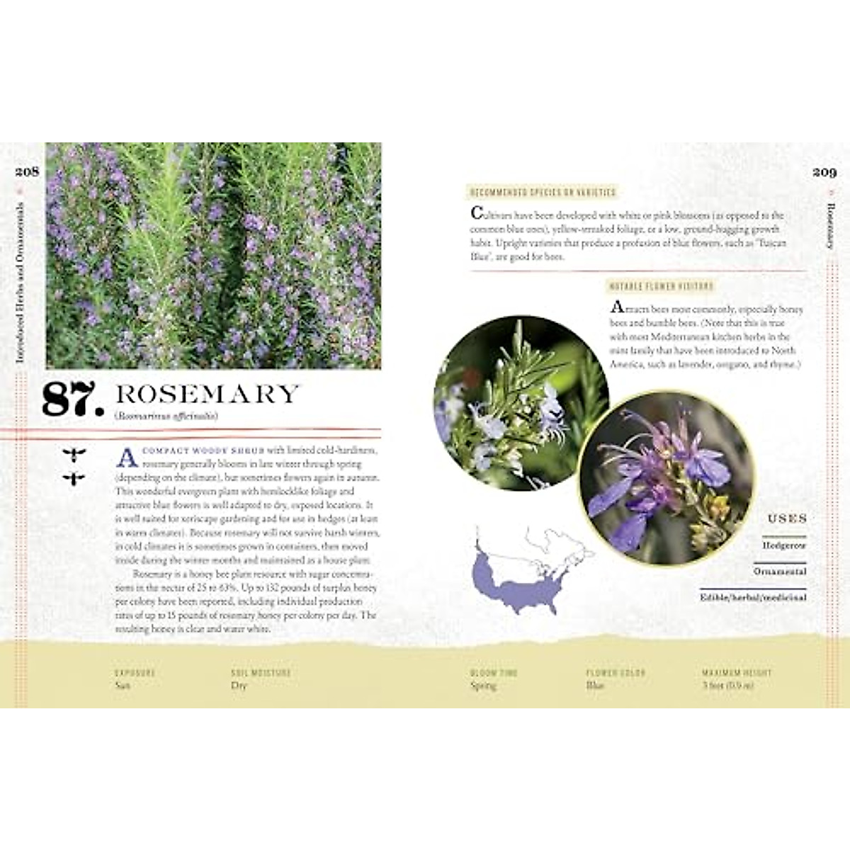 100 Plants to Feed the Bees: Provide a Healthy Habitat to Help Pollinators Thrive