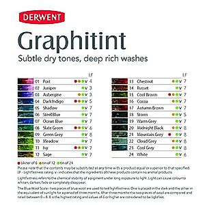 Derwent Graphitint Pencils Tin, Set of 24, Great for Holiday Gifts, Unique Blend of Graphite and Color, Watersoluble, Ideal for Mixed Media, Professional Quality (0700803)