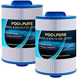 POOLPURE Replacement Filter for PWW50P4, 1 1/2" MPT Thread Screw in Filter, 2 Pack