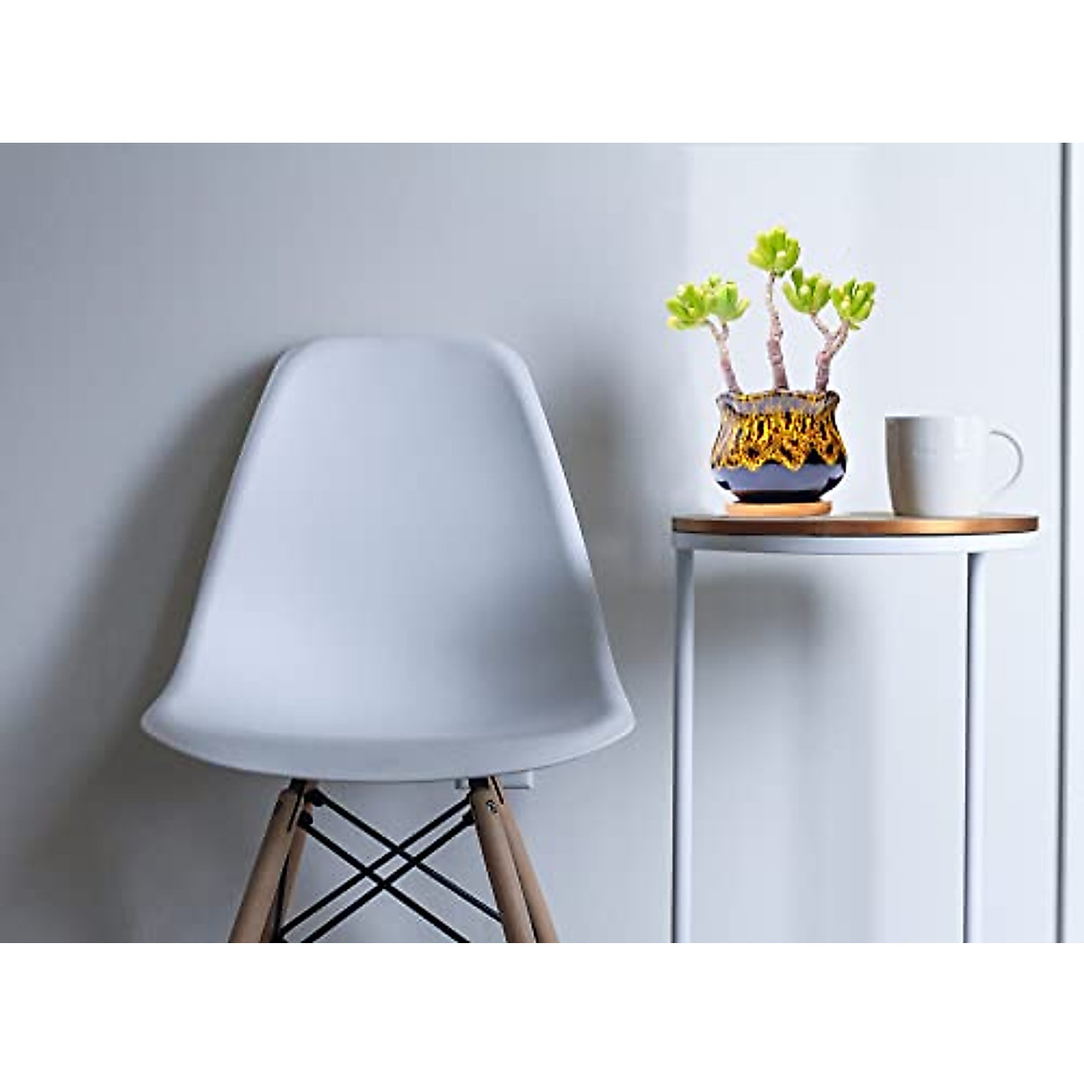 Cute Ceramic Succulent Garden Pots, Planter with Drainage and Attached Saucer, Set of 5 - Plants Not Included (Fambe)