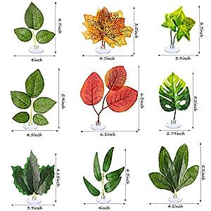 9 Pieces Betta Bed Leaf Hammock Pad Betta Fish Leaf Pad Betta Fish Hammock Betta Fish Accessories Plant Tank Decorations for Lightweight and Realistic Resting Spot Simulating The Habitat