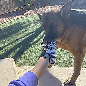 JALOUSIE 5 Pack Dog Bungee Stretch Toy Squeaky Dog Crinkle Chew Toy - Stuffingless Crinkle Paper Body No Mess - Sealed Stuffed Squeaky Head - Interactive Play Dog Crinkle Paper Sound Toy Value Bundle