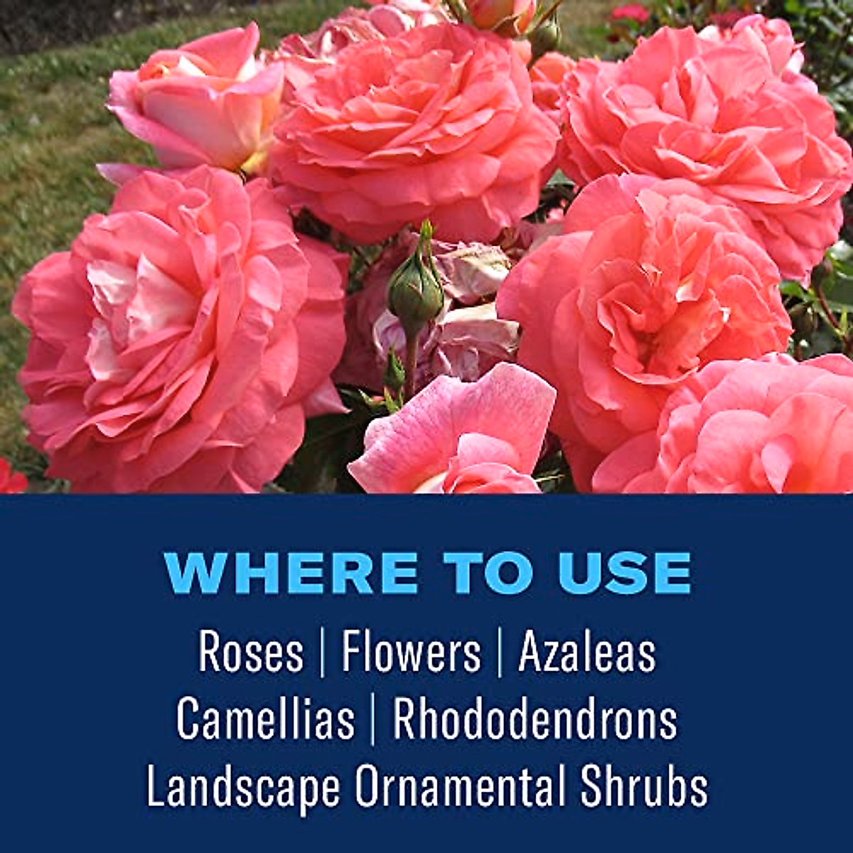 BioAdvanced Shrub Care Protect & Feed, Granules, 4 lb.