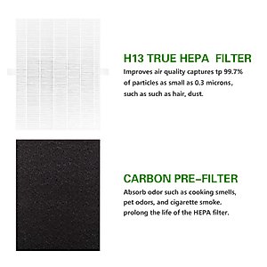115115 Replacement Filter A, JASENG C535 Filter Replacement Compatible with Winix C535, 5300-2, P300, 5300 Air Machine, 1 HEPA Filter & 4 Carbon Filter