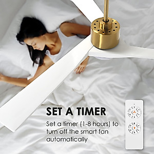 WINGBO 64" DC Ceiling Fan with Lights, 3 Reversible Solid Wood Blades, 6-Speed Noiseless DC Motor, Brass Finish Ceiling Fan with Remote, White