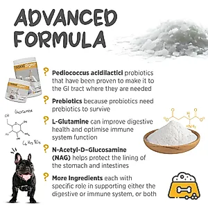 maxxipaws maxxidigest+ Probiotic & Prebiotic Powder Supplement - Digestive & Immune Support for Dogs, 13.2oz