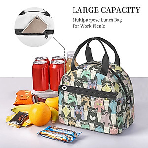 Juoritu Hipster Cute Cats Insulated Lunch Bag with Straps, Lunch Box for Women and Men, Waterproof Tote Bag for Office and Travel