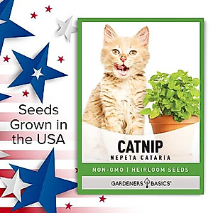 Gardeners Basics Catnip Seeds for Planting is A Heirloom, Non-GMO Herb Variety- Nepeta Cataria Herb Seeds Great for Indoor and Outdoor Gardening and Cats